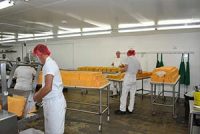 Colby Cheese – Williams Cheese